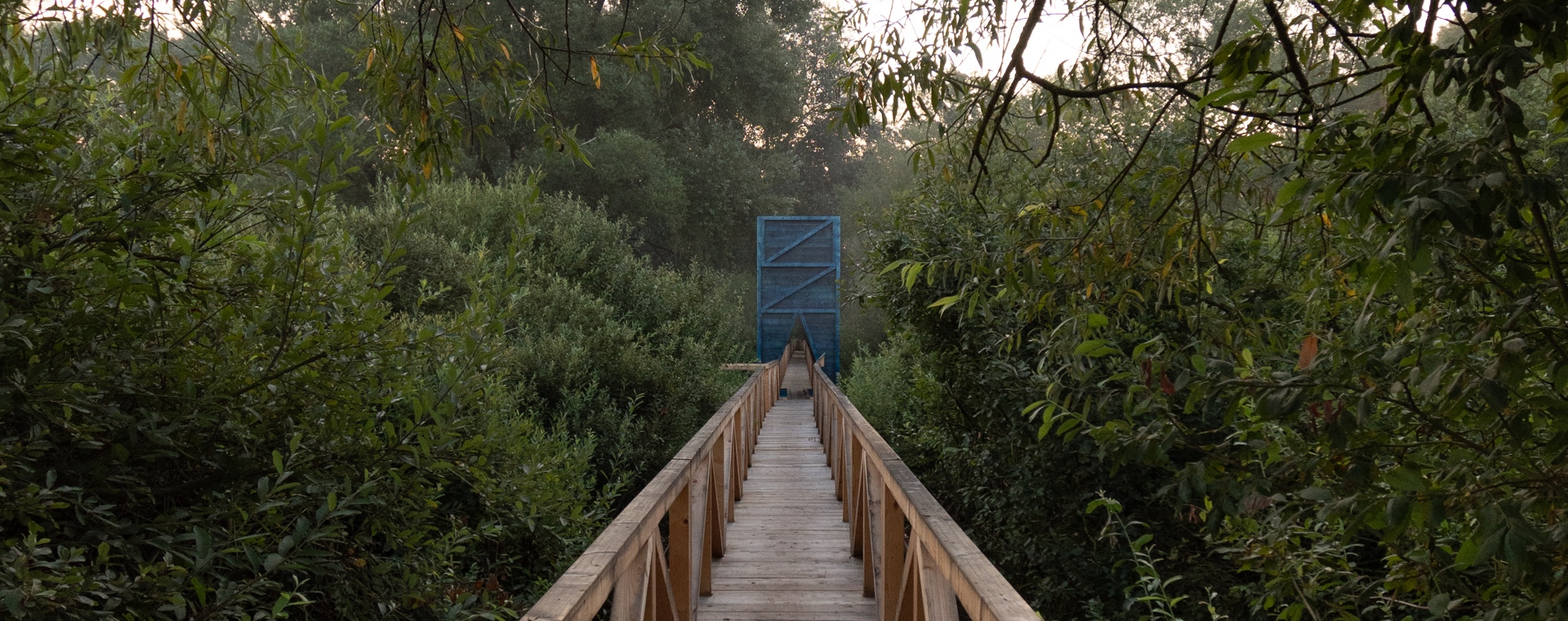 Kék szignó | Paradigma Ariadné Lápföldön